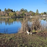 Lake Elizabeth, California - 2,078 Reviews, Map | AllTrails
