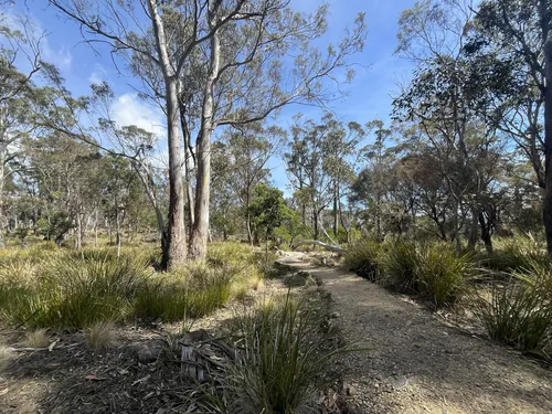 Truganini Conservation Area: de beste routes om te wandelen | AllTrails