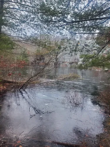 10 Best Hikes and Trails in Freetown Fall River State Forest | AllTrails