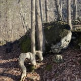 Sandstone Falls Boardwalk and Island Loop Trail, West Virginia - 663 ...