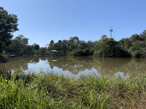 Best Hikes and Trails in Yarran Dheran | AllTrails
