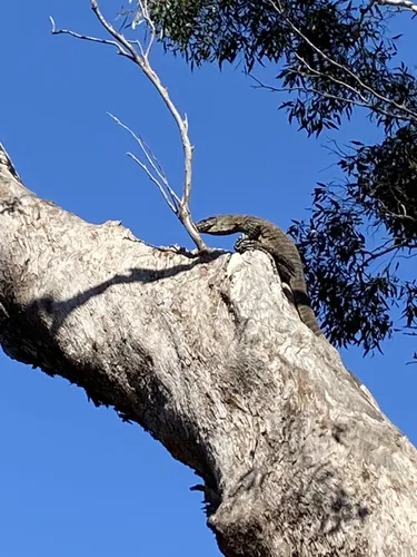 Best Camping Trails in Arapiles | AllTrails