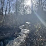 Tanyard Perimeter Loop, Arkansas - 2,493 Reviews, Map | AllTrails