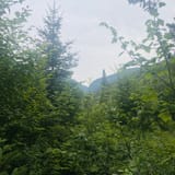 Barnes Camp Loop, Vermont - 456 Reviews, Map | AllTrails