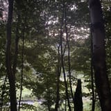 Barnes Camp Loop, Vermont - 456 Reviews, Map | AllTrails