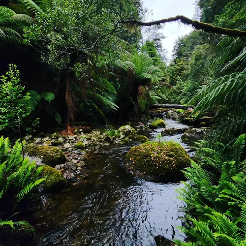 Best Hikes and Trails in Evercreech Regional Reserve | AllTrails