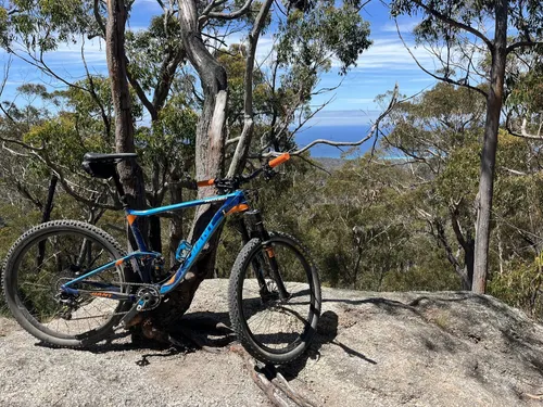 Best Camping Trails in Lottah | AllTrails