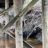 Myron and Helen Gibbons Nature Preserve Loop, Florida - 234 Reviews ...