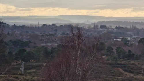 Best Hikes and Trails in Upton Heath Nature Reserve | AllTrails