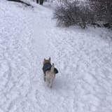 Memory Grove Trail, Utah - 1,320 Reviews, Map | AllTrails