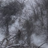 Memory Grove Trail, Utah - 1,320 Reviews, Map | AllTrails