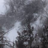 Memory Grove Trail, Utah - 1,320 Reviews, Map | AllTrails