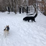 Memory Grove Trail, Utah - 1,320 Reviews, Map | AllTrails