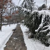 Memory Grove Trail, Utah - 1,320 Reviews, Map | AllTrails