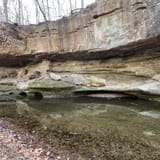 Piney Creek Ravine Nature Reserve Trail, Illinois - 448 Reviews, Map ...