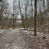 Moore Park Ravine Trail, Ontario, Canada - 1,270 Reviews, Map | AllTrails