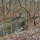 Moore Park Ravine Trail, Ontario, Canada - 1,270 Reviews, Map | AllTrails