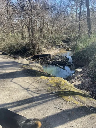 Best Hikes and Trails in Ray Harral Nature Park | AllTrails