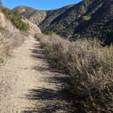 Del Dios Gorge Trail , California - 607 Reviews, Map | AllTrails
