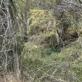 Rothenbach Park Solar Trail, Florida - 28 Reviews, Map | AllTrails