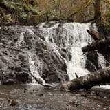 Mima Falls East Trail, Washington - 1,730 Reviews, Map | AllTrails