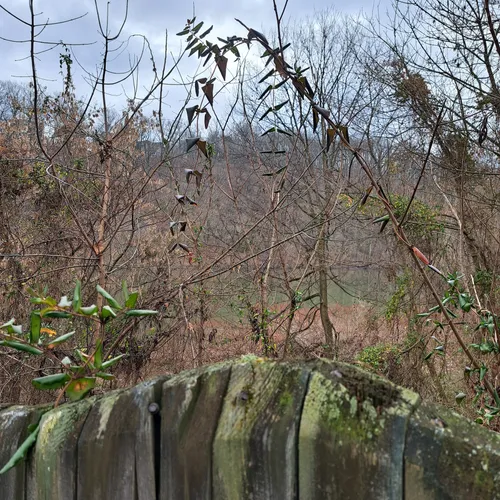 Best River Trails in Mont Clare | AllTrails