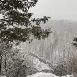 High Rocks, Pennsylvania - 2,773 Reviews, Map | AllTrails