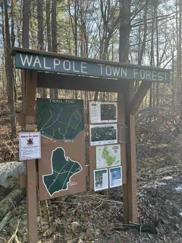 Best Hikes and Trails in Walpole Town Forest | AllTrails
