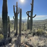 Spur Cross Dragonfly Loop, Arizona - 1,725 Reviews, Map | AllTrails