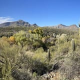 Spur Cross Dragonfly Loop, Arizona - 1,725 Reviews, Map | AllTrails