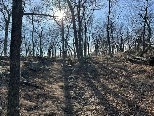 Best Hikes and Trails in The Nature Conservancy Higby Mountain | AllTrails