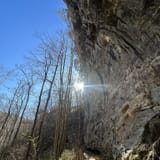 Buggytop Trail to Lost Cove Cave, Tennessee - 773 Reviews, Map | AllTrails