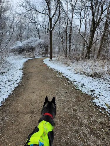 Standard Tube Burgess Park: de beste routes om te wandelen | AllTrails