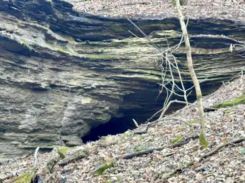 Best Hikes and Trails in Lost Bridge North Park | AllTrails