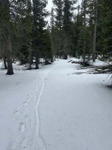 Best Hikes and Trails in Owens River Headwaters Wilderness | AllTrails