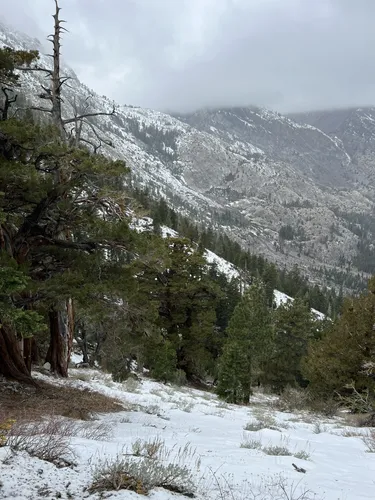 Best Hikes and Trails in Owens River Headwaters Wilderness | AllTrails