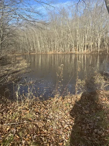 Best Hikes and Trails in Sunny Valley Preserve | AllTrails