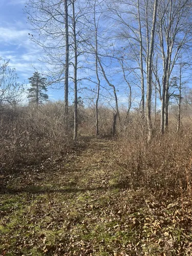 Best Hikes and Trails in Sunny Valley Preserve | AllTrails