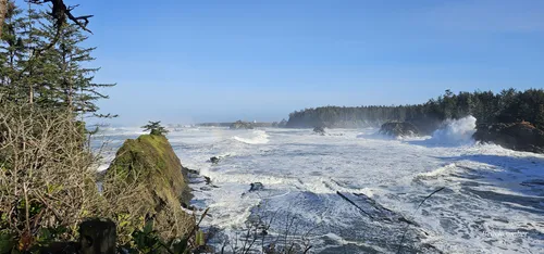 Best Hikes and Trails in Shore Acres State Park | AllTrails