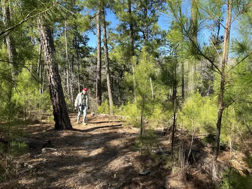 Best Hikes and Trails in Buescher State Park | AllTrails