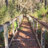 Cary State Forest Preserve Trail, Florida - 140 Reviews, Map | AllTrails
