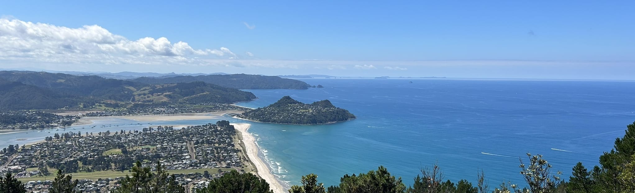 Pauanui Summit Walk, Waikato, New Zealand - 49 Reviews, Map | AllTrails