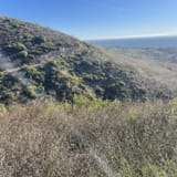 Ocean and Canyon View Trail, California - 1,876 Reviews, Map | AllTrails