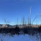 Lower Bear Notch Road Loop, New Hampshire - 19 Reviews, Map | AllTrails