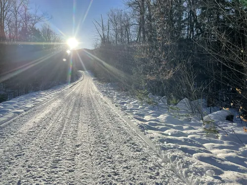 Best Hikes and Trails in Bear Notch Ski Touring Center Trails | AllTrails