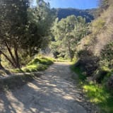 Beaudry Loop, California - 4,816 Reviews, Map | AllTrails