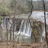 Pine Tree Loop, North Carolina - 369 Reviews, Map | AllTrails