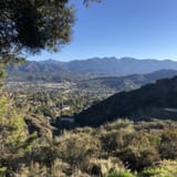 Beaudry Loop, California - 4,816 Reviews, Map | AllTrails