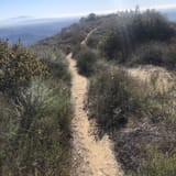 Beaudry Loop, California - 4,816 Reviews, Map | AllTrails