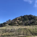 Beaudry Loop, California - 4,816 Reviews, Map | AllTrails